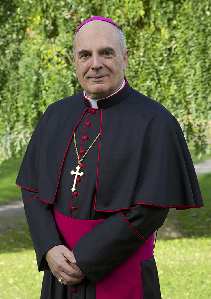 La missione della Chiesa, continuazione della missione di Cristo/2